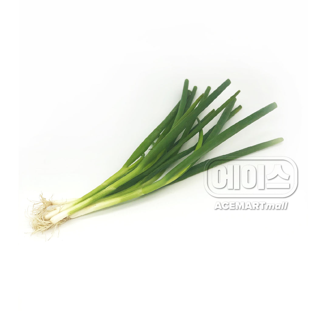 Fresh / Cébette 1 botte [Ace Food]– ACEMARTmall PARIS